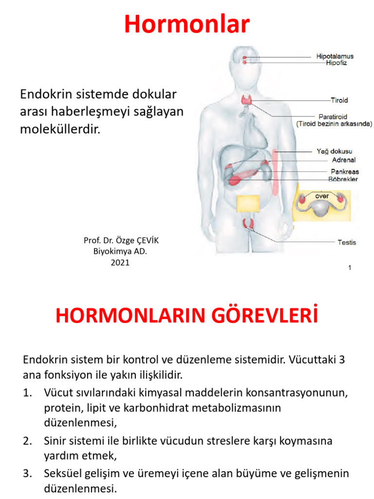 09- Hormonlar | PDF