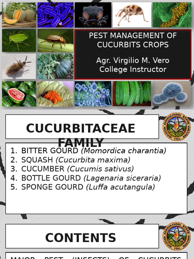 Chapter 06 Ipm on Cucurbits Crop Part 6 | PDF | Botany | Plants