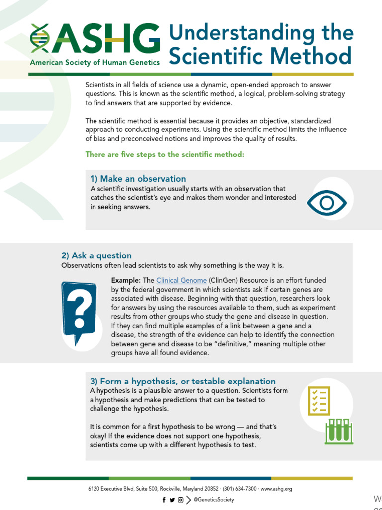 Factsheet Discover Genetics Scientific Method | PDF | Scientific Method | Hypothesis