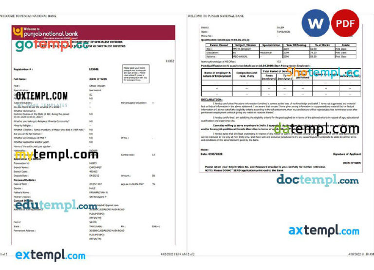Doctempl - India Punjab National Bank statement Word and PDF template ...