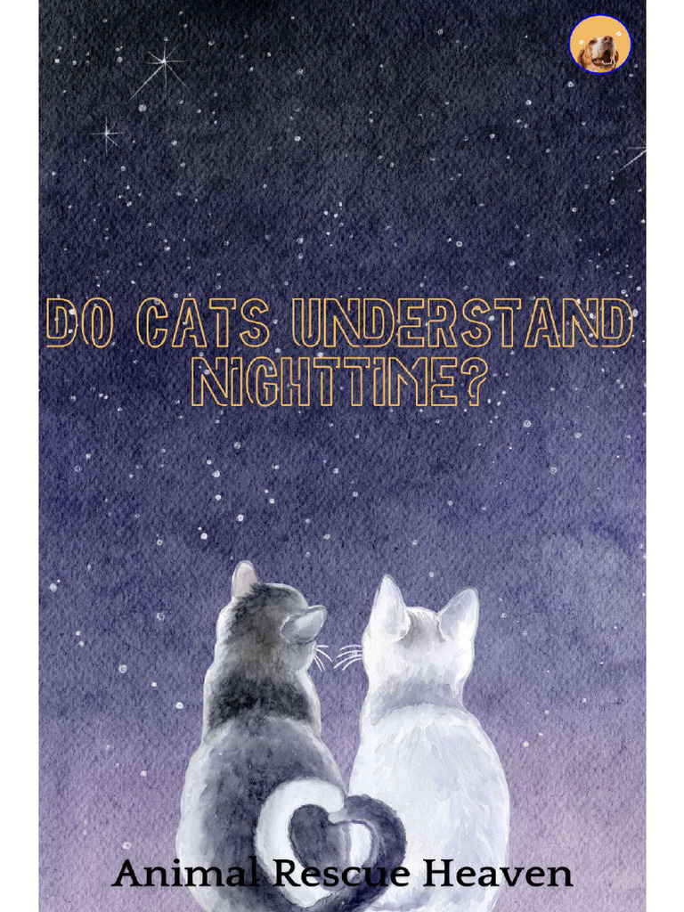 Purple Watercolor Night Cats Book Cover | PDF