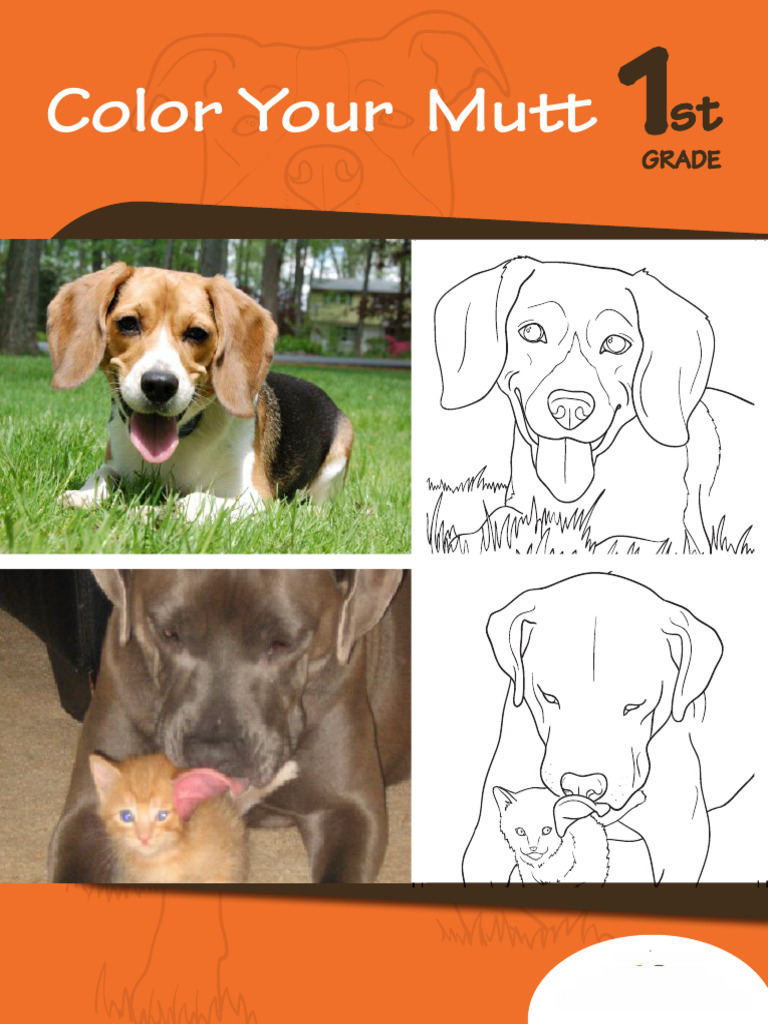 Color The Mutts Workbook | PDF | Subspecies Of Canis Lupus | Dog Types