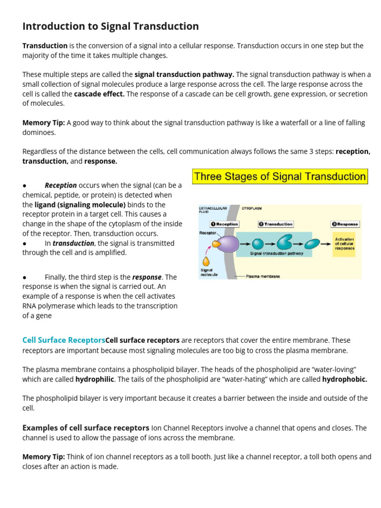 Asher Khan - Introduction to Signal Transduction | PDF | Cell Signaling ...
