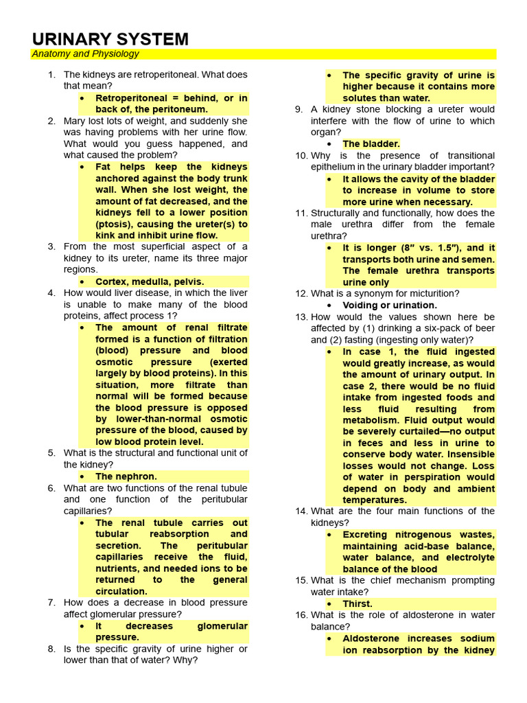 Urinary-System | PDF | Kidney | Urinary System