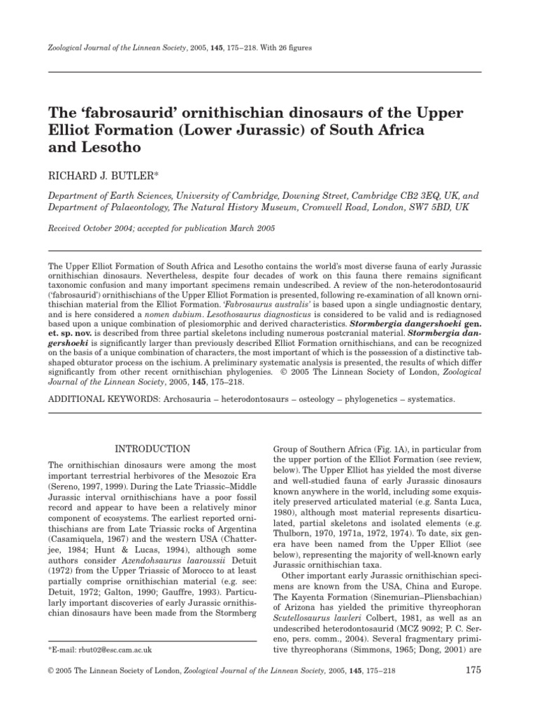 Butler 2005 The Fabrosaurid' Ornithischian Dinosaurs Stormbergia | PDF ...