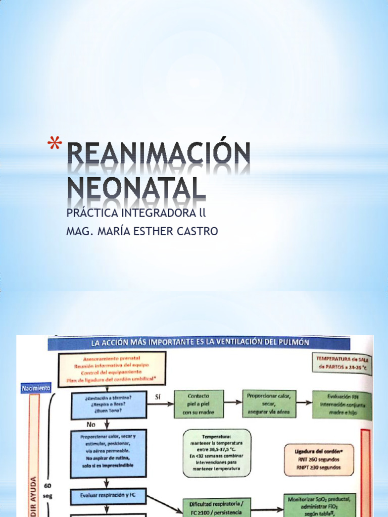 U7 RCP BÁSICO en el RN | PDF | Reanimación cardiopulmonar | Sistema ...