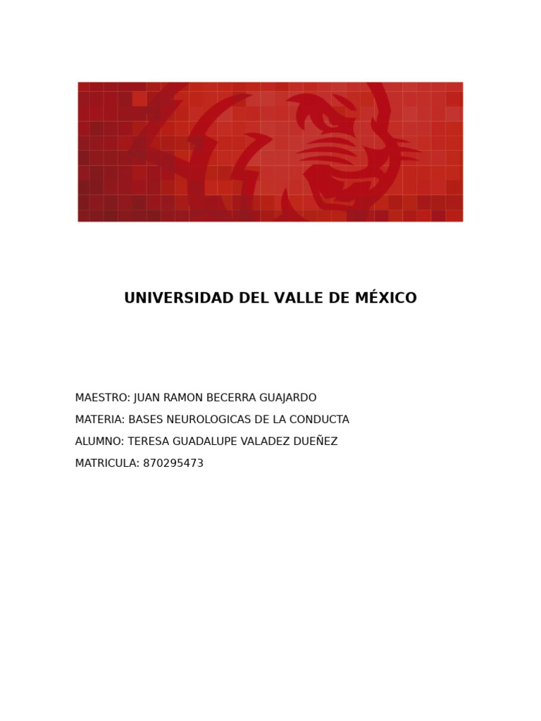 Resumen del capítulo 1 del libro de Kandel | PDF | Cerebro | Neurociencia