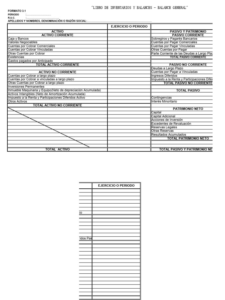 Balance General y Libro de Inventarios | PDF | Activo fijo | Hoja de ...