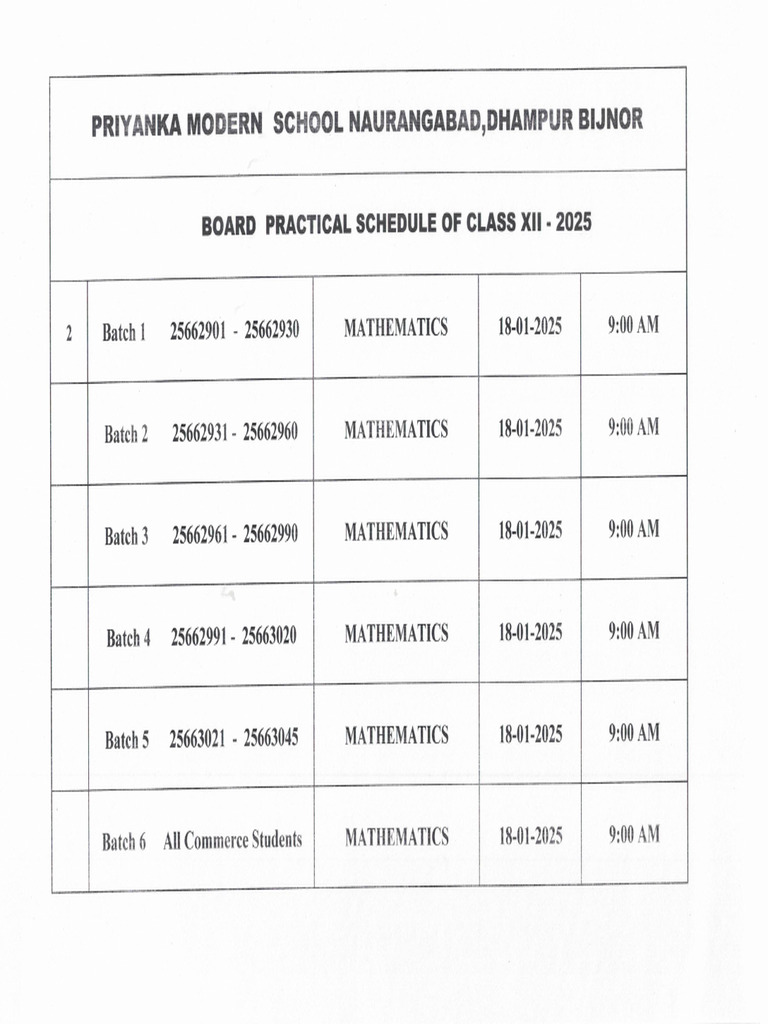 Practical Schedule of Class XII | PDF