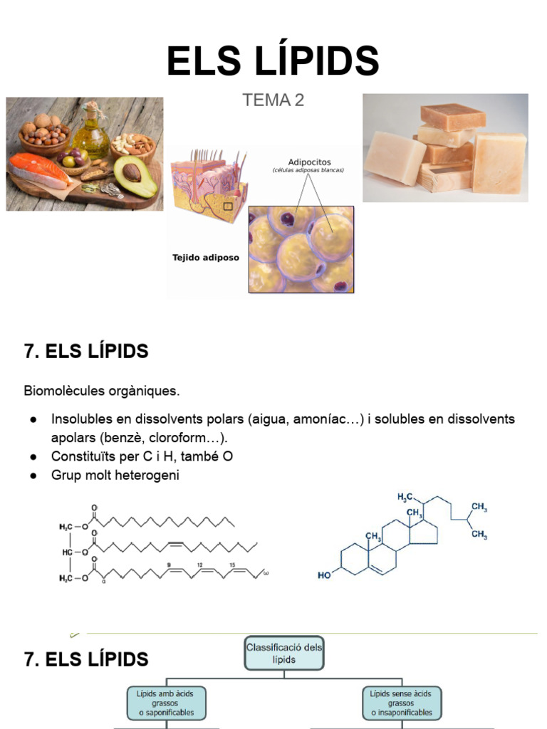 Lipids | PDF