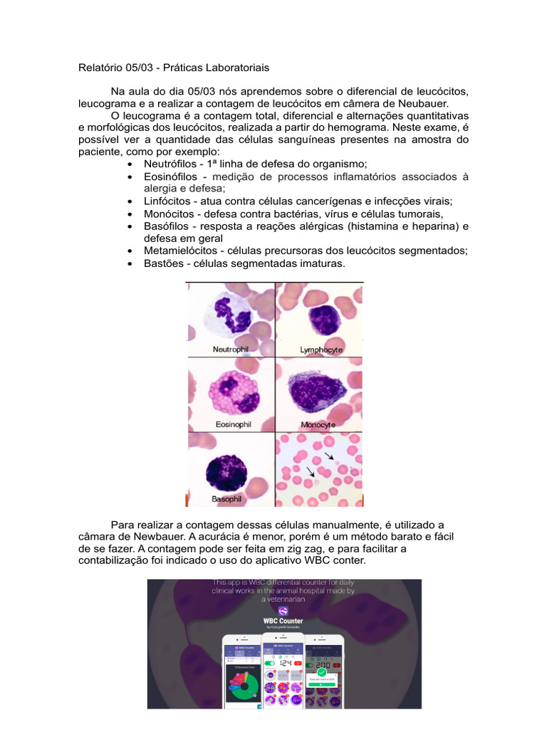 Leucograma | PDF