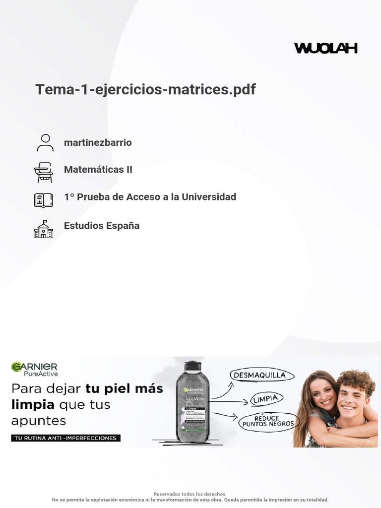 Wuolah Free Tema 1 Ejercicios Matrices | PDF | Matriz (Matemáticas) | Álgebra