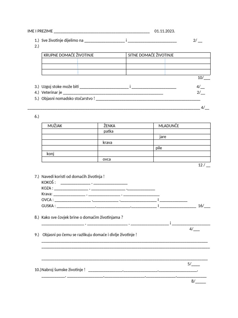 Mook Test | PDF