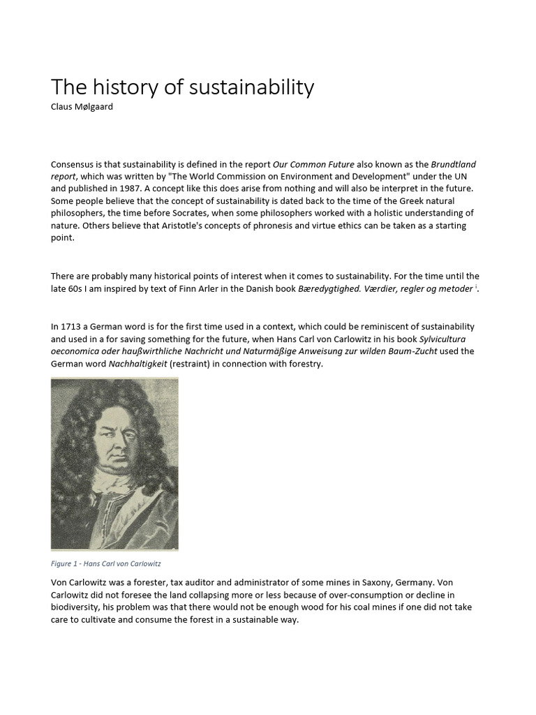 The-history-of-sustainability (1) | PDF | Sustainability | Sustainable ...