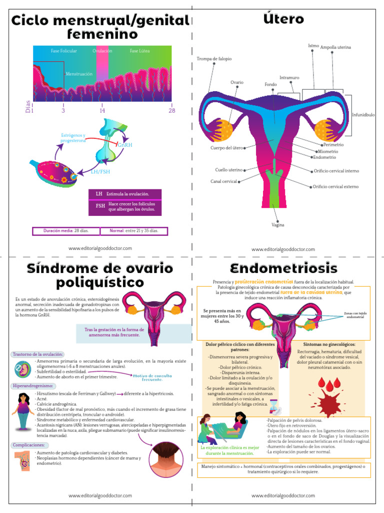 Flashcards Ginecología y Obstetricia | PDF | Ciclo menstrual | Menopausia