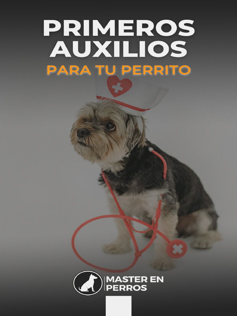 Primeros Auxilios para Tu Perrito | PDF | Herida | Veneno