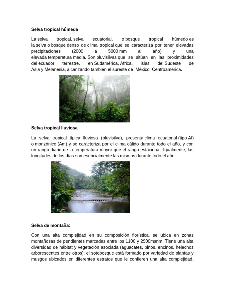 Selva Tropical Húmeda | PDF | Selva | Zona tropical