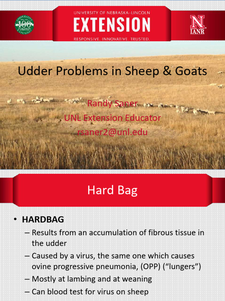 Mastitis in Sheep and Goats | PDF | Microbiology | Diseases And Disorders