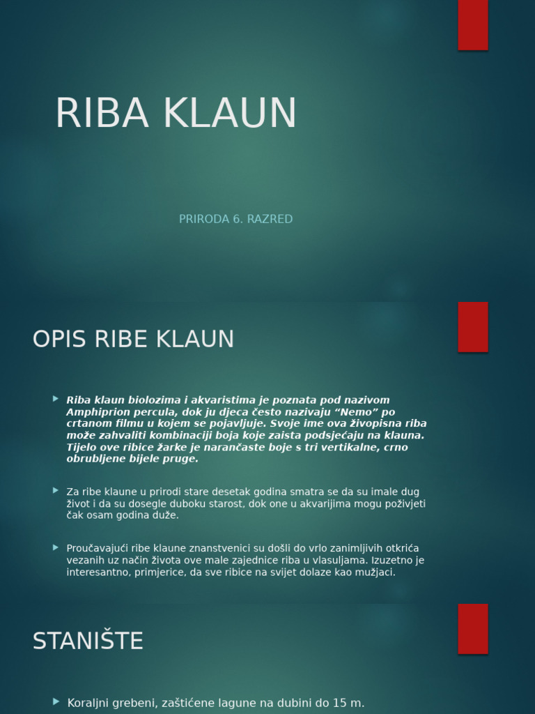 Riba Klaun Priroda 6 Razred | PDF