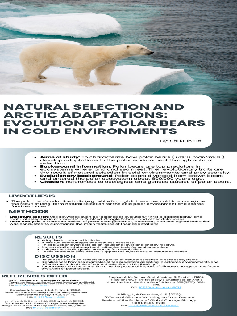 Natural Selection and Arctic Adaptations Evolution of Polar Bears in ...