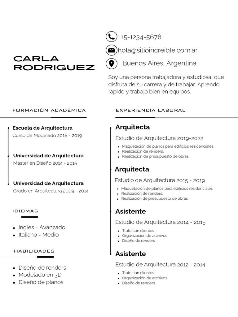 Curriculum Vitae Basico | PDF
