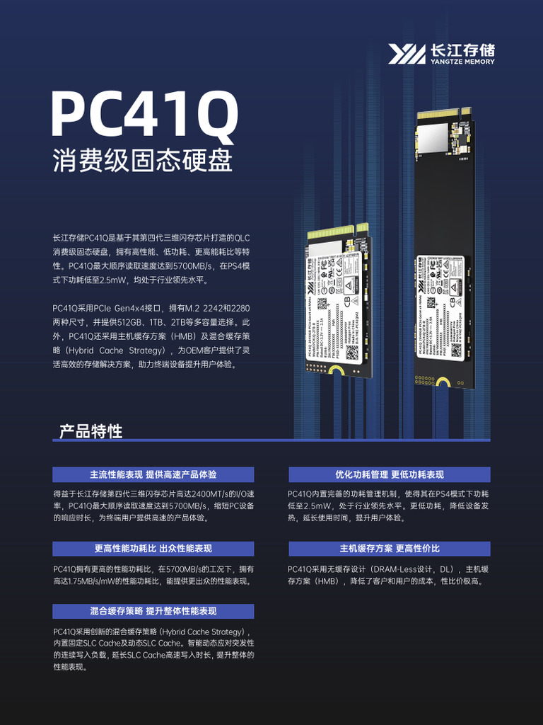 PC41Q 20241009 | PDF