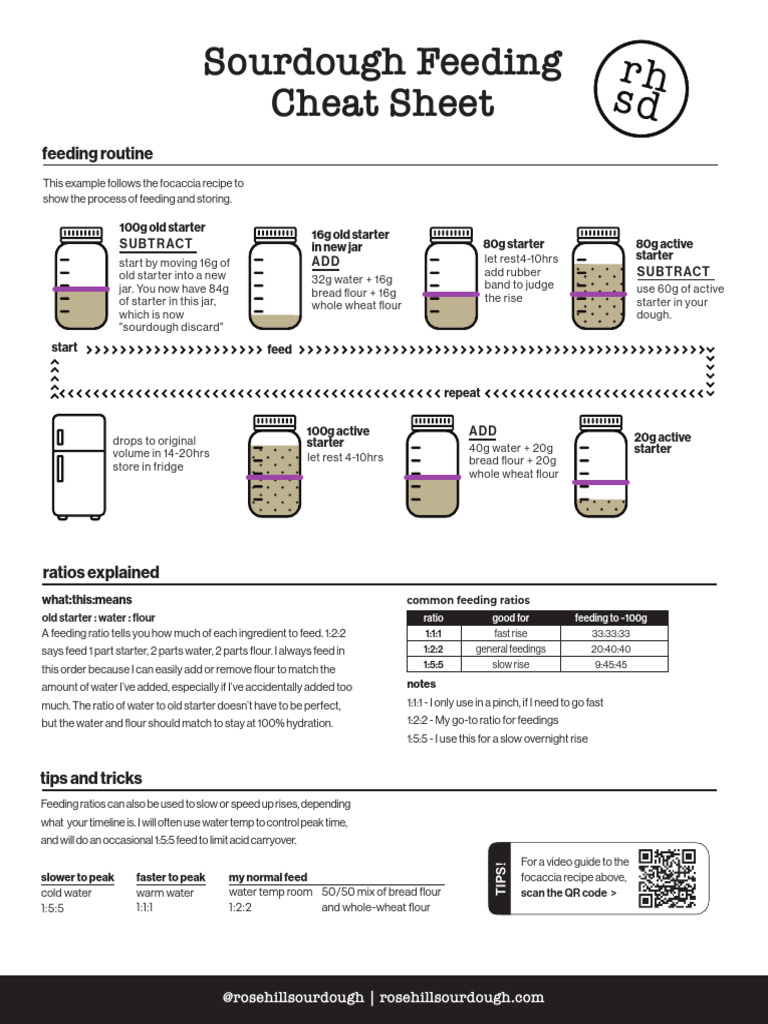 Sourdough Feeding Ratios Guide | PDF | Breads | Sourdough