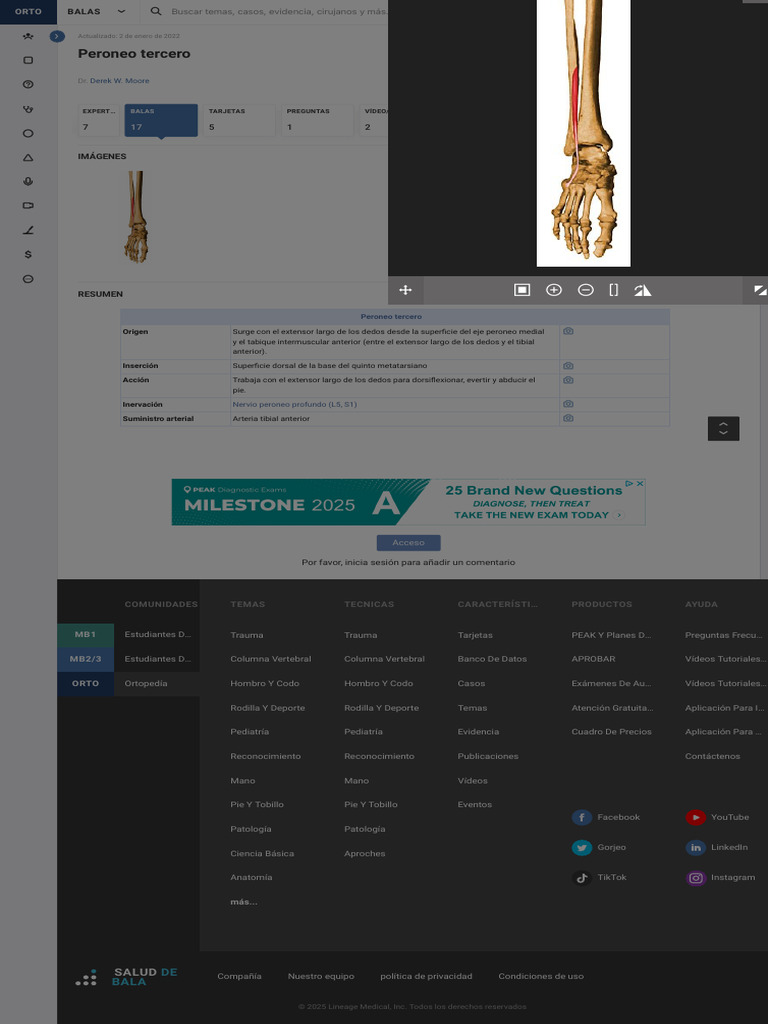 Peroneo Tercero - Anatomía - Orthobullets 2 | PDF | Pie | Anatomía humana