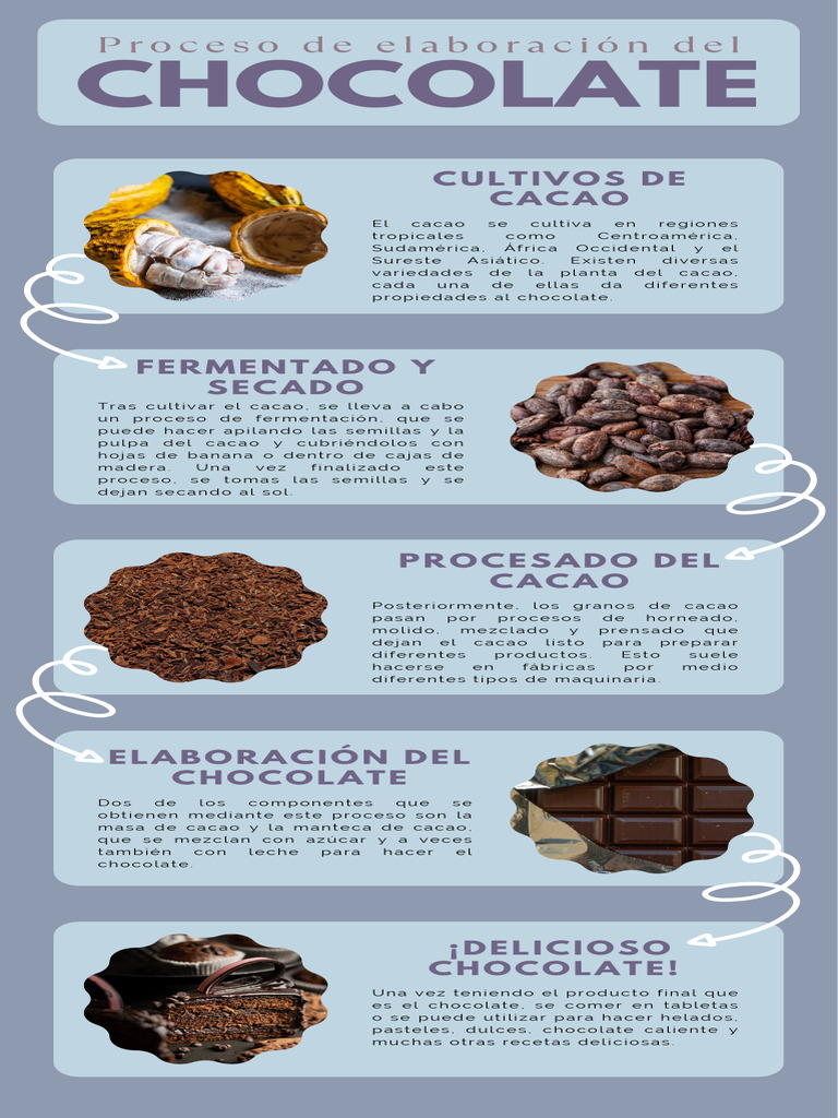 Proceso de Elaboración del Chocolate | PDF | Chocolate | Theobroma