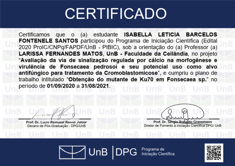certificado PIBIC (2020-2021) | PDF