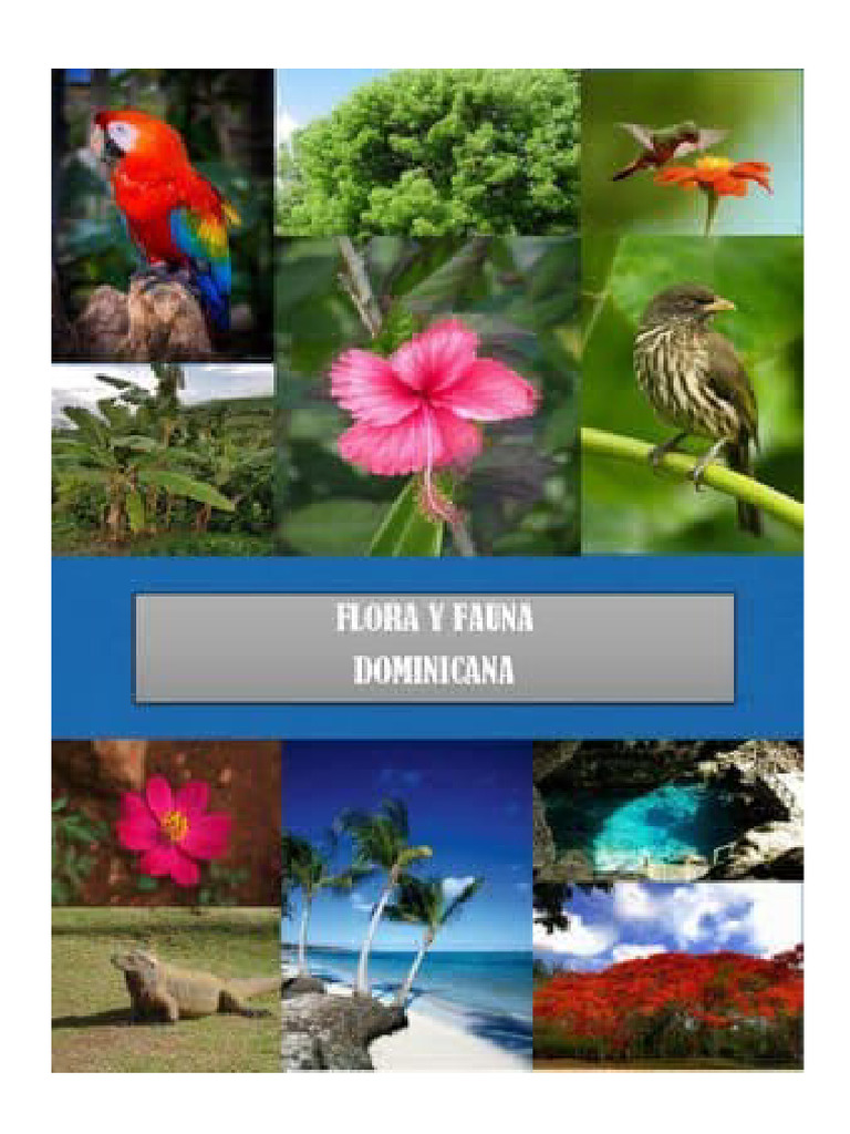 Flora y Fauna de La República Dominicana | PDF