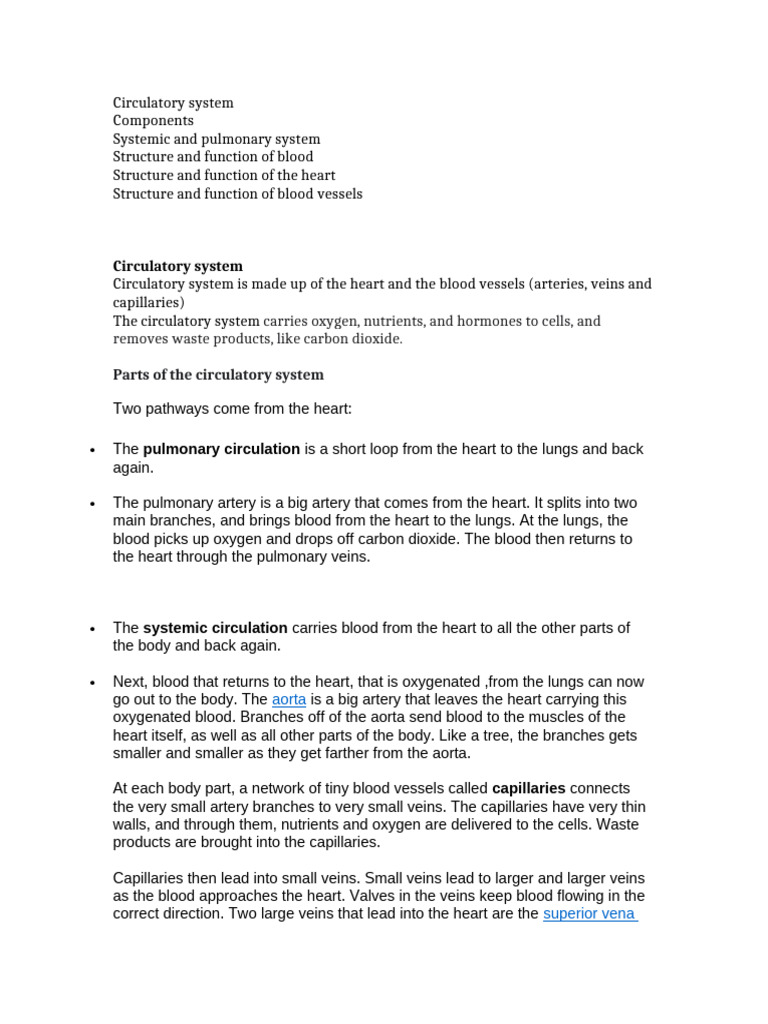 Circulatory System | PDF | Heart Valve | Atrium (Heart)
