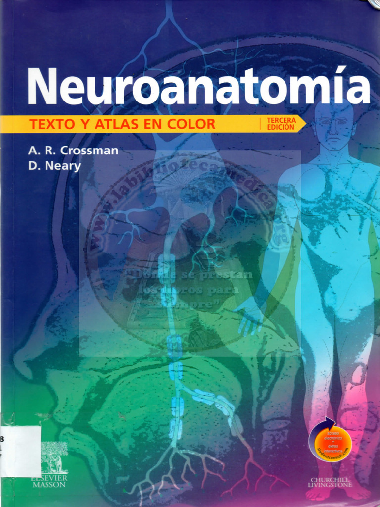 Neuroanatomia, Texto y Atlas en Color | PDF