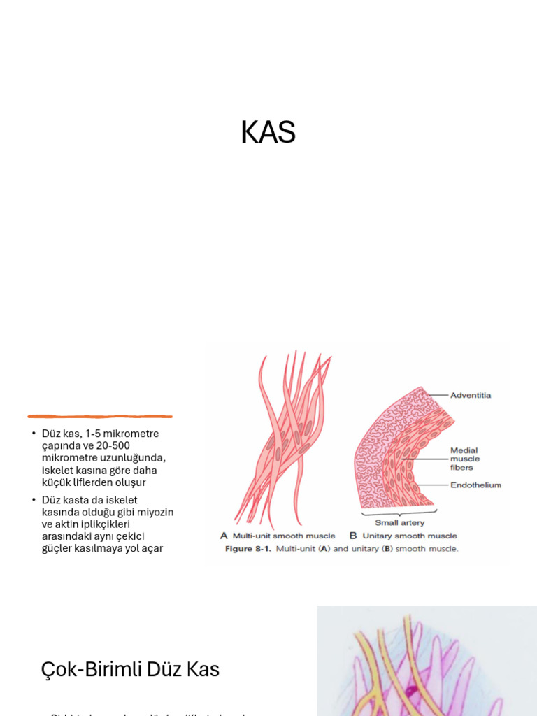 Kas | PDF
