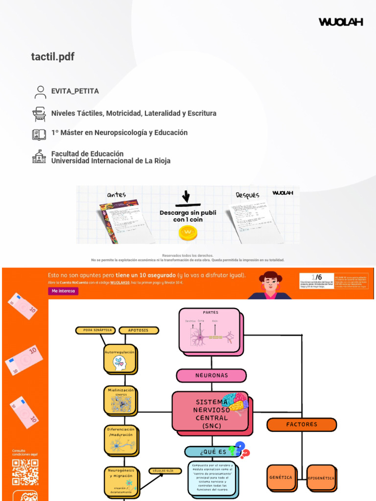 Tactil PDF | PDF | Anatomía | Neurociencia