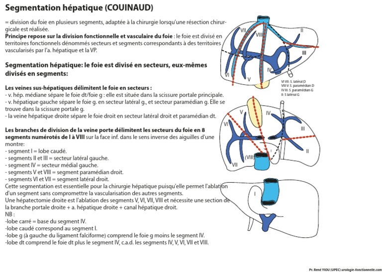 Segmentation hépatique et chirurgie | PDF | Foie | Appareil digestif