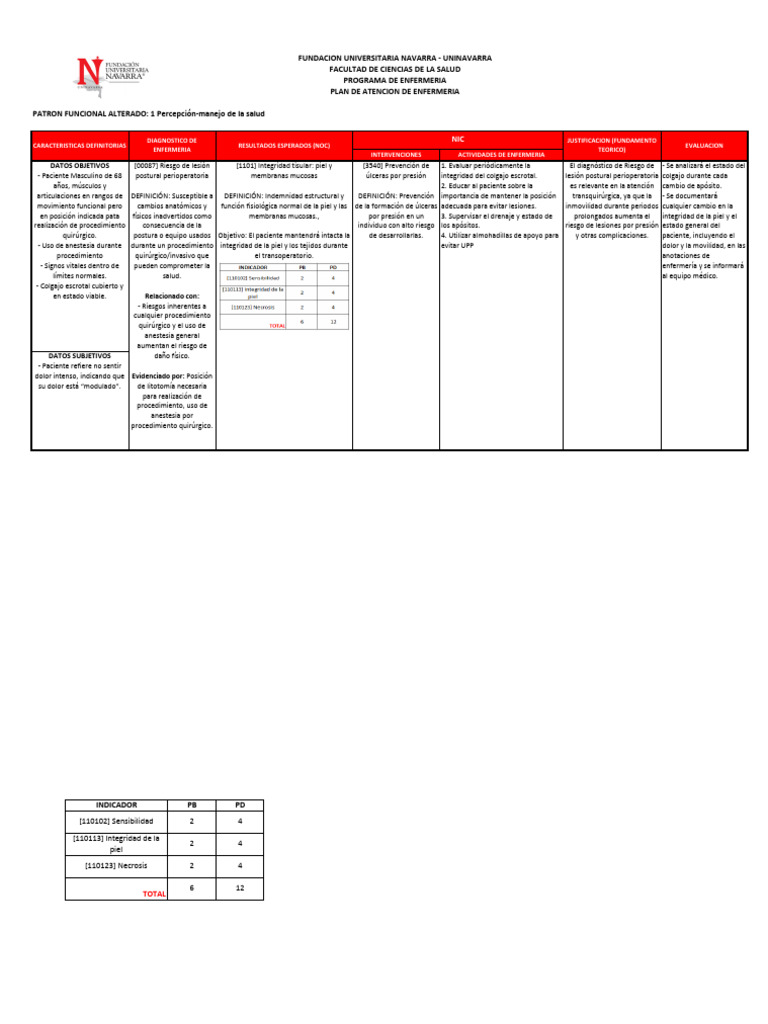 Formatos Pae | PDF | Enfermería | Dolor