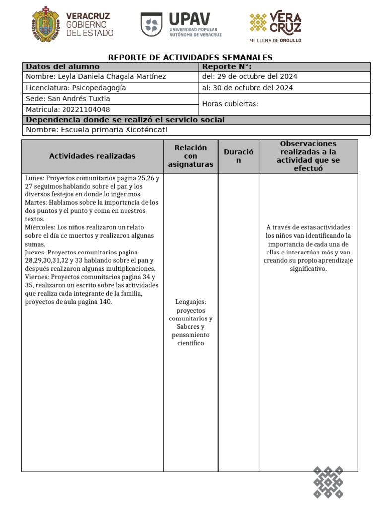 FORMATO - SS-04 - REPORTE - MENSUAL 07 de Nov | PDF | Aprendizaje