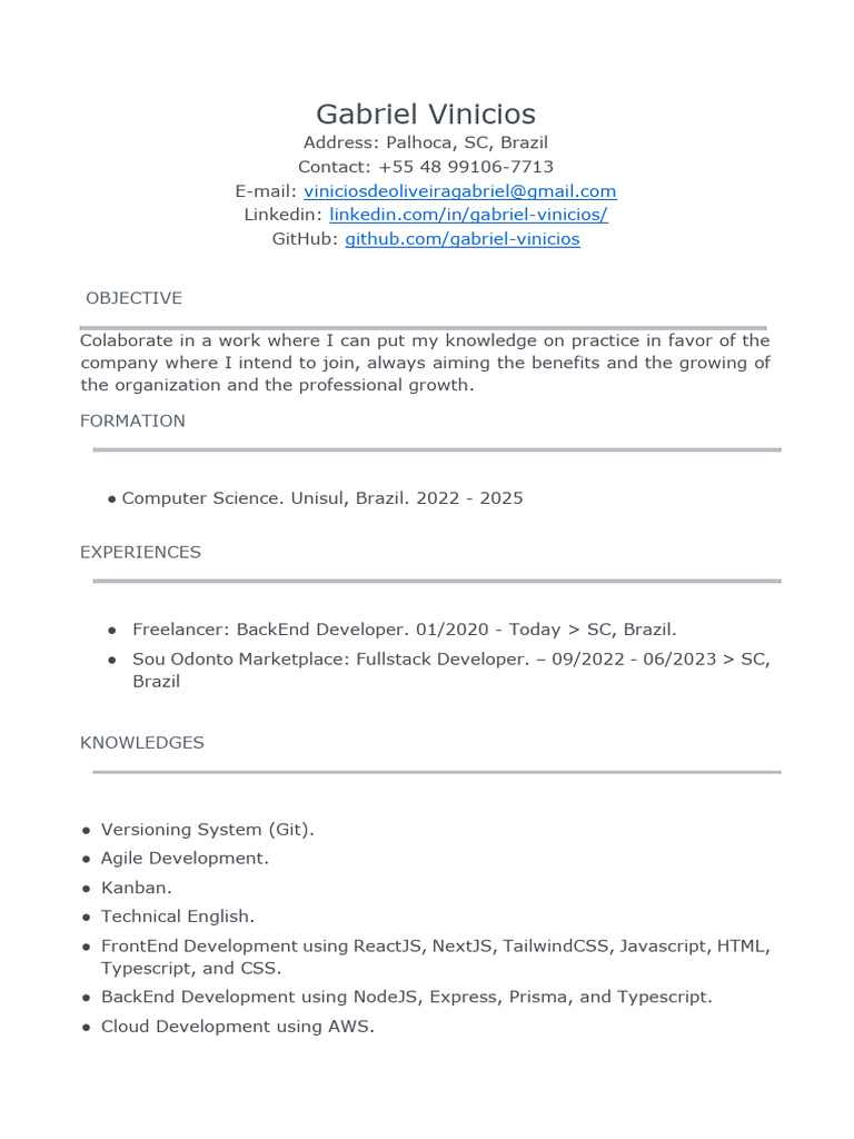 CV Gabriel-Vinicios English | PDF