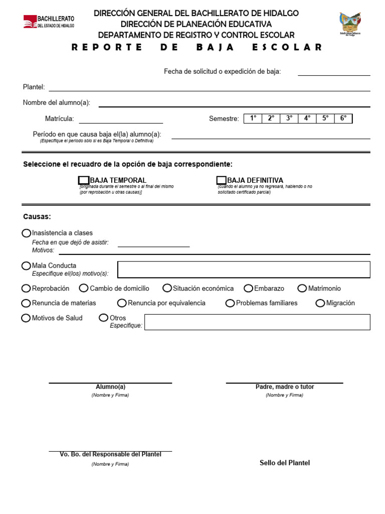 Reporte de Baja Escolar HEIDI | PDF