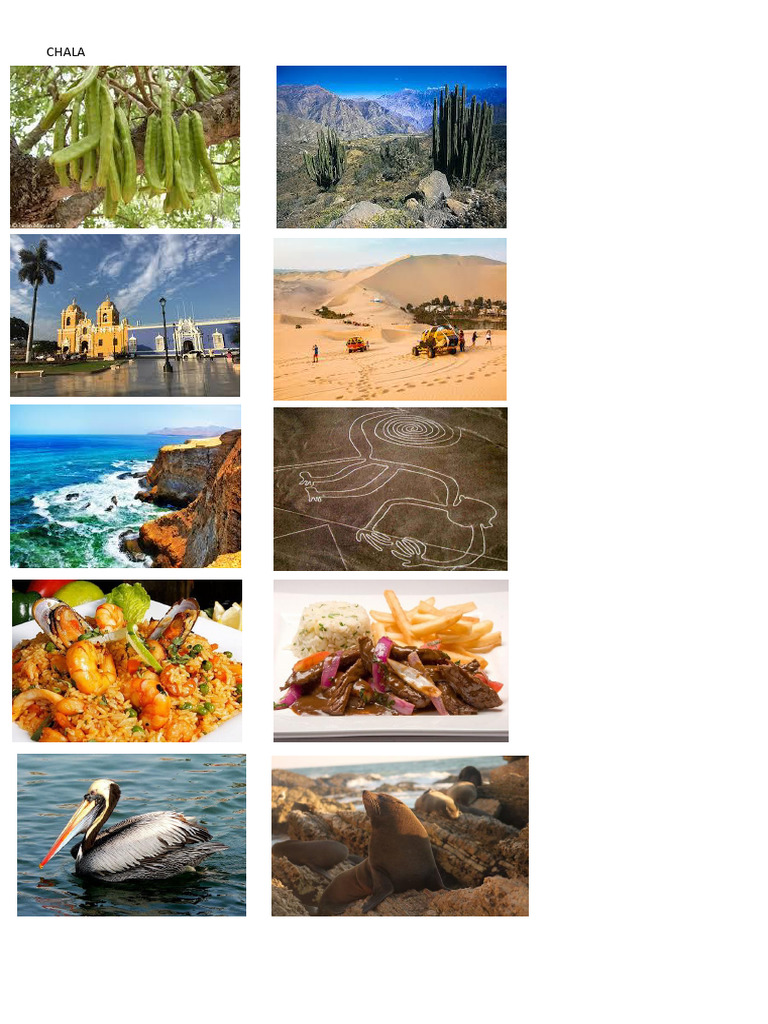 Andean Ecological Zones | PDF