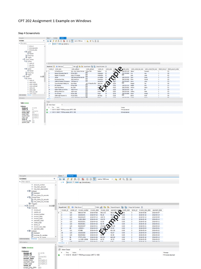CPT 202 Assignment 1 Example Windows | PDF