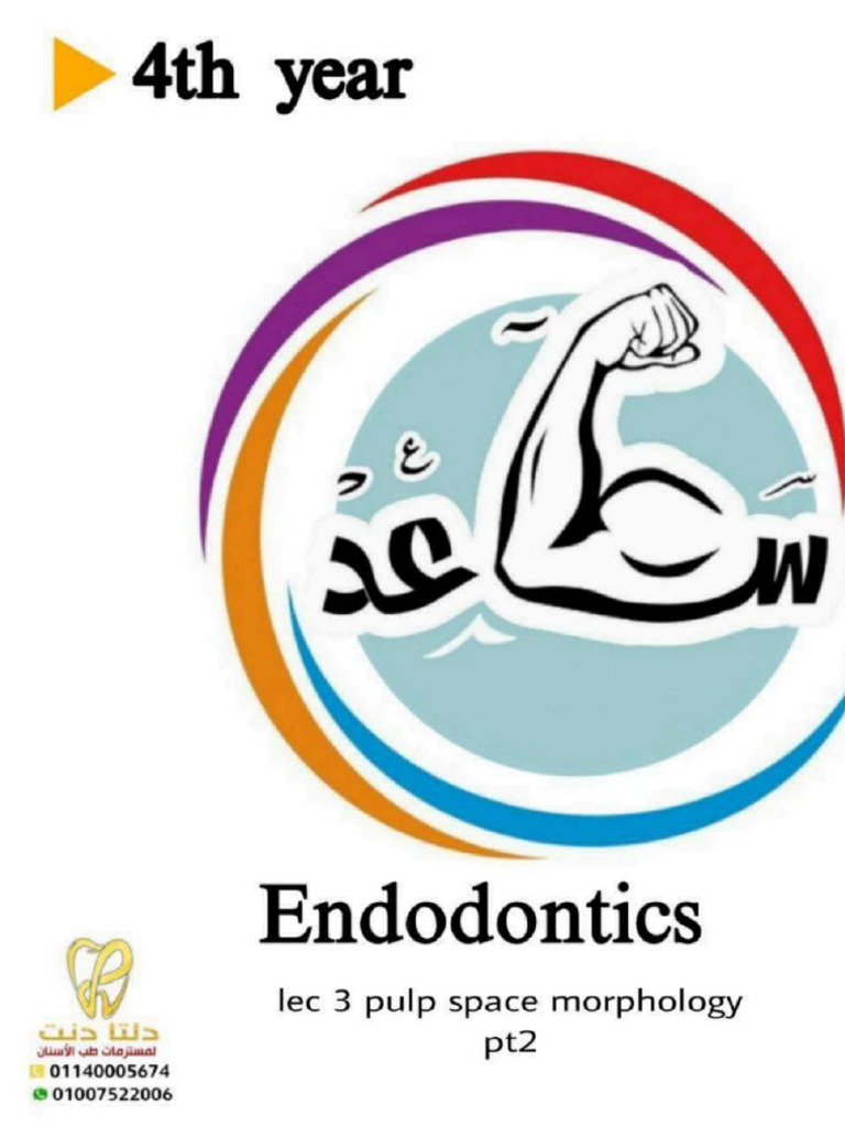 Lec 2 Pulp Space Morphology Pt2 | PDF | Dentistry | Mouth