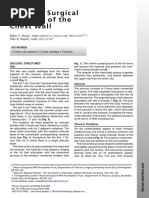 Costal Arch | PDF | Thorax | Thorax (Human Anatomy)