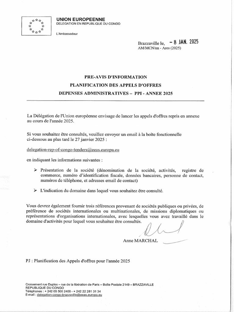 Pre Avis D Information - Planification Des Ao 2025 - Admin Et Ppi | PDF