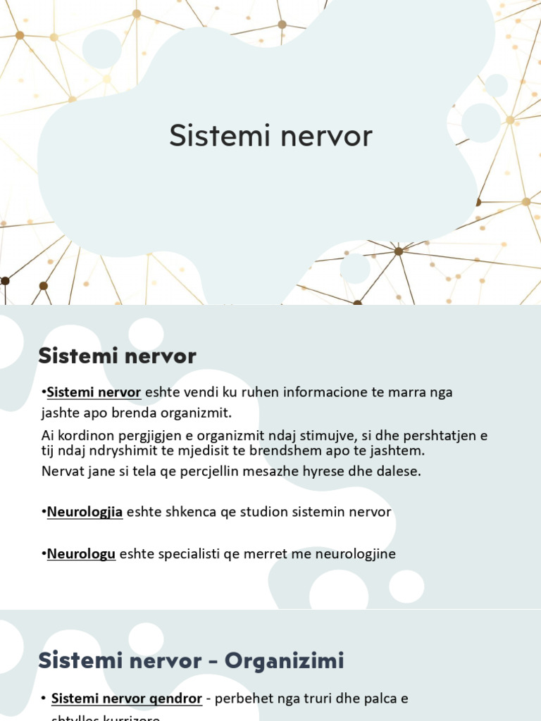 Sistemi Nervor | PDF
