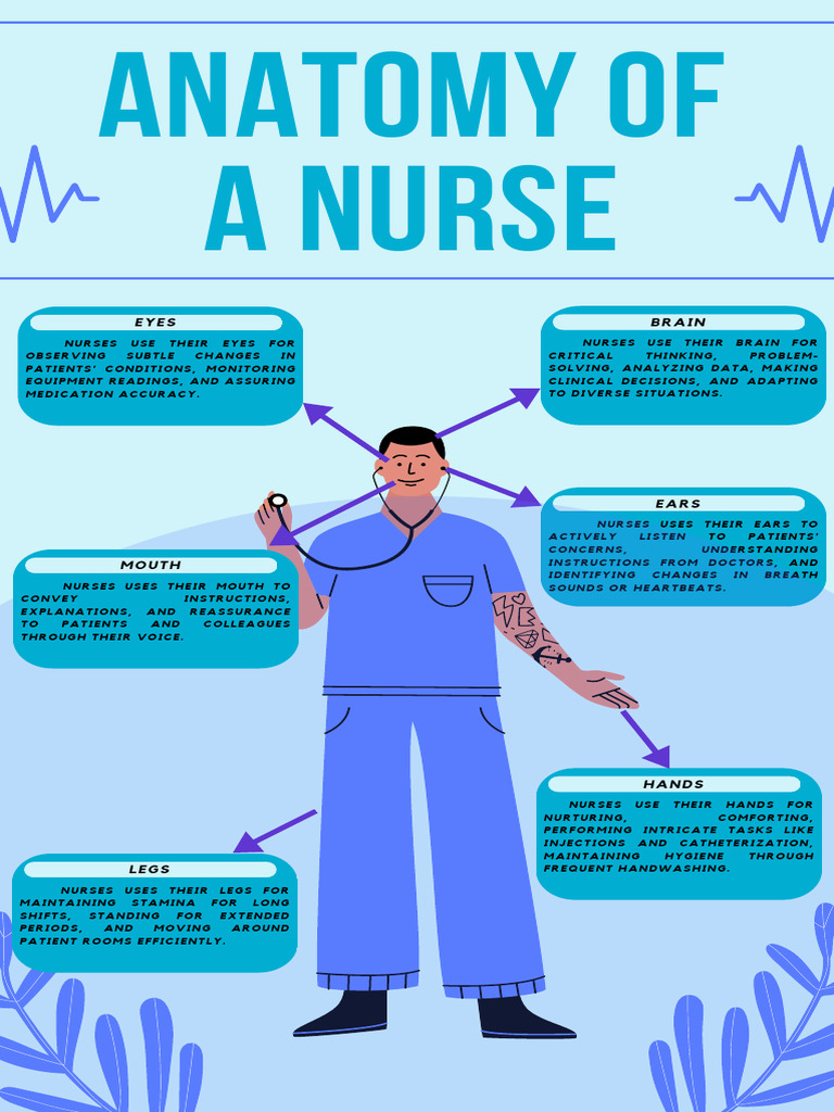 Anatomy of A Nurse - 20240116 - 213915 - 0000 | PDF