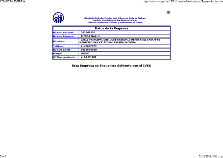 Solvencia Ivss | PDF