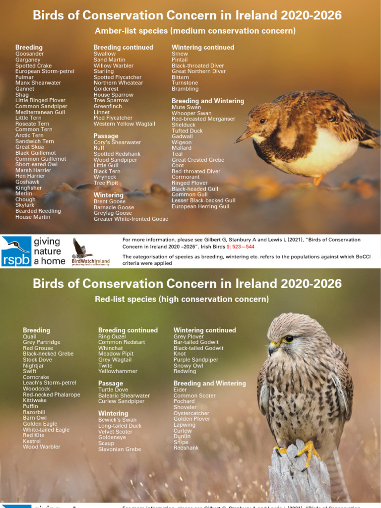 Red and Amber Lists of Birds of Conservation Concern in Ireland (BoCCI4 ...
