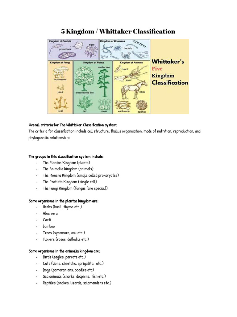 Whittaker's 5 Kingdom Classification Guide | PDF